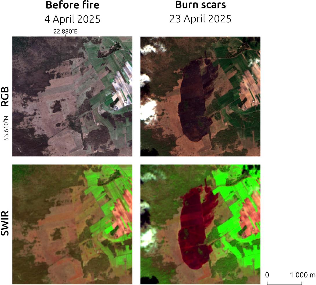 Mapping wetlands fire using AI and Sentinel-2 data - CREODIAS